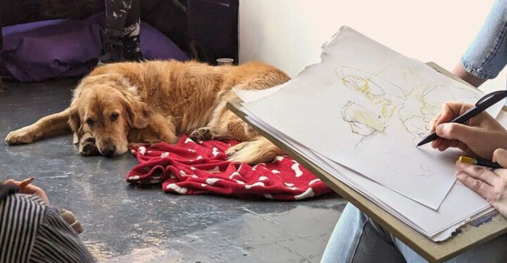 Bristol Dog Life Drawing Class Gift Vouchers £15 for 1