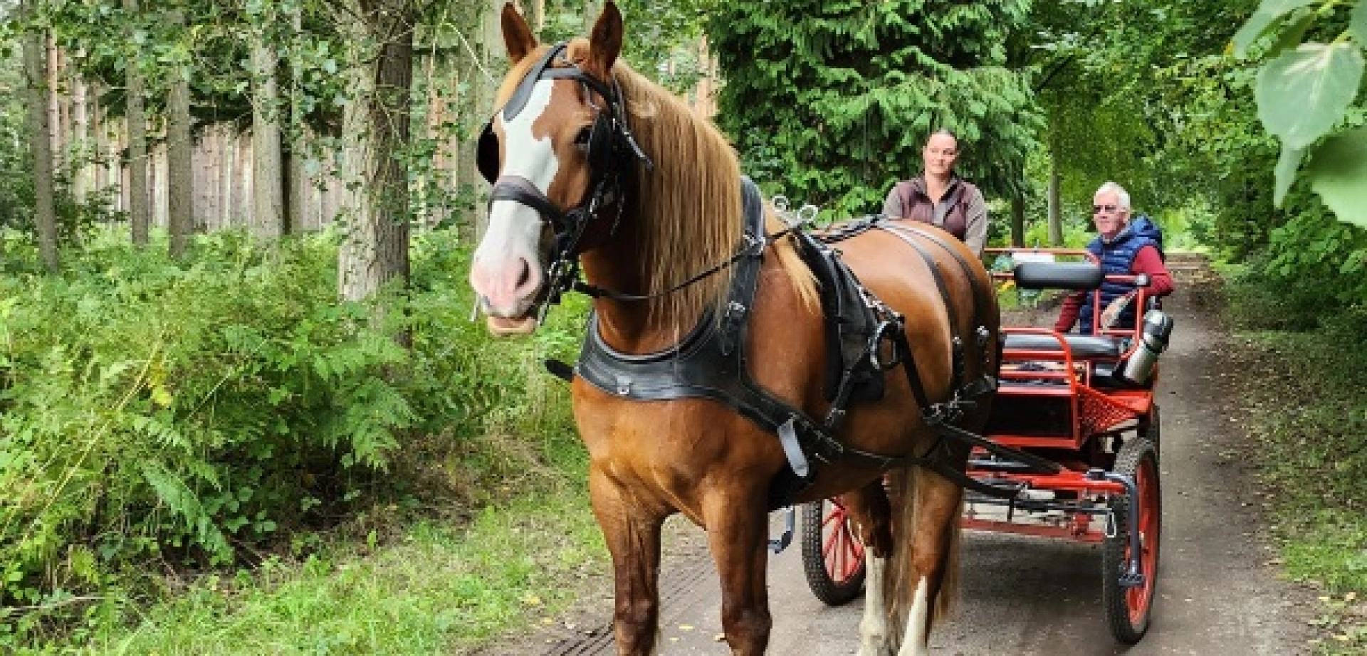 Selby Private Carriage Ride And Afternoon Tea Gift Vouchers £155 for 5