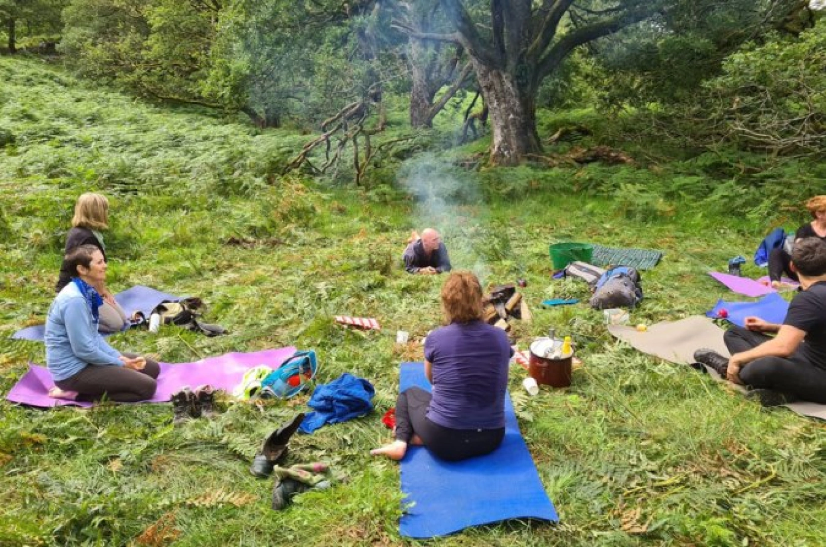 Lake District Forest Bathing Experience Cumbria Gift Vouchers £135 for 3