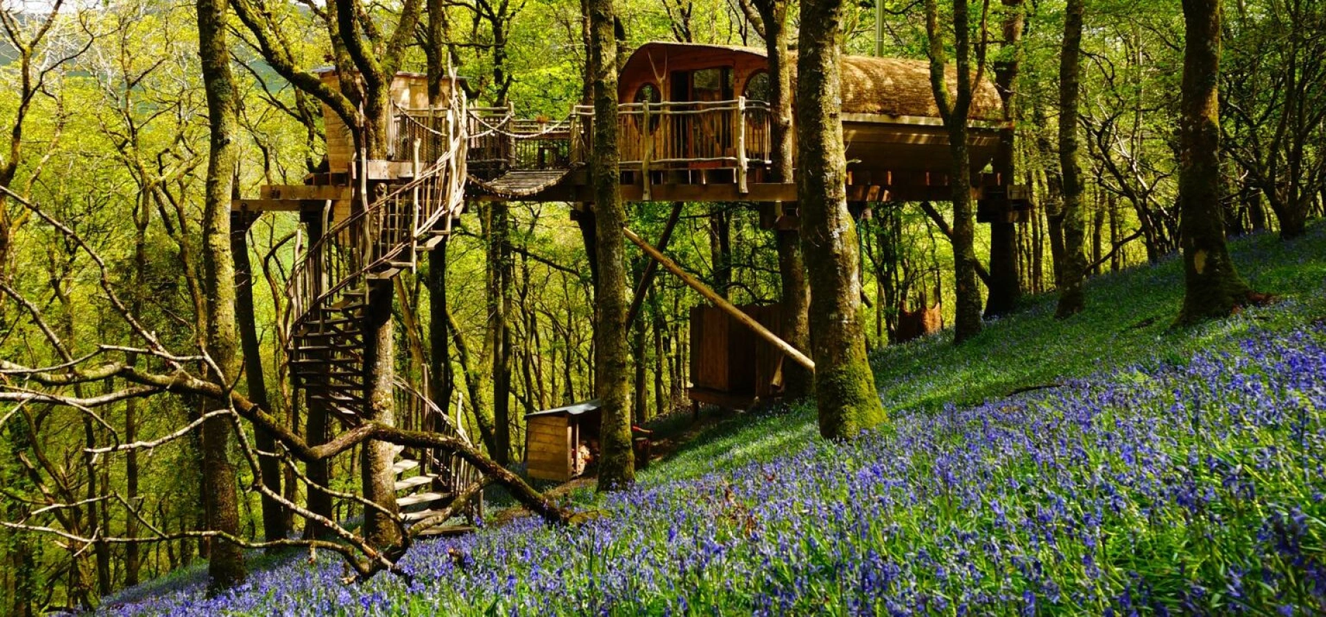 Machynlleth Treehouse Overnight Break For Five Gift Vouchers £439 for 5